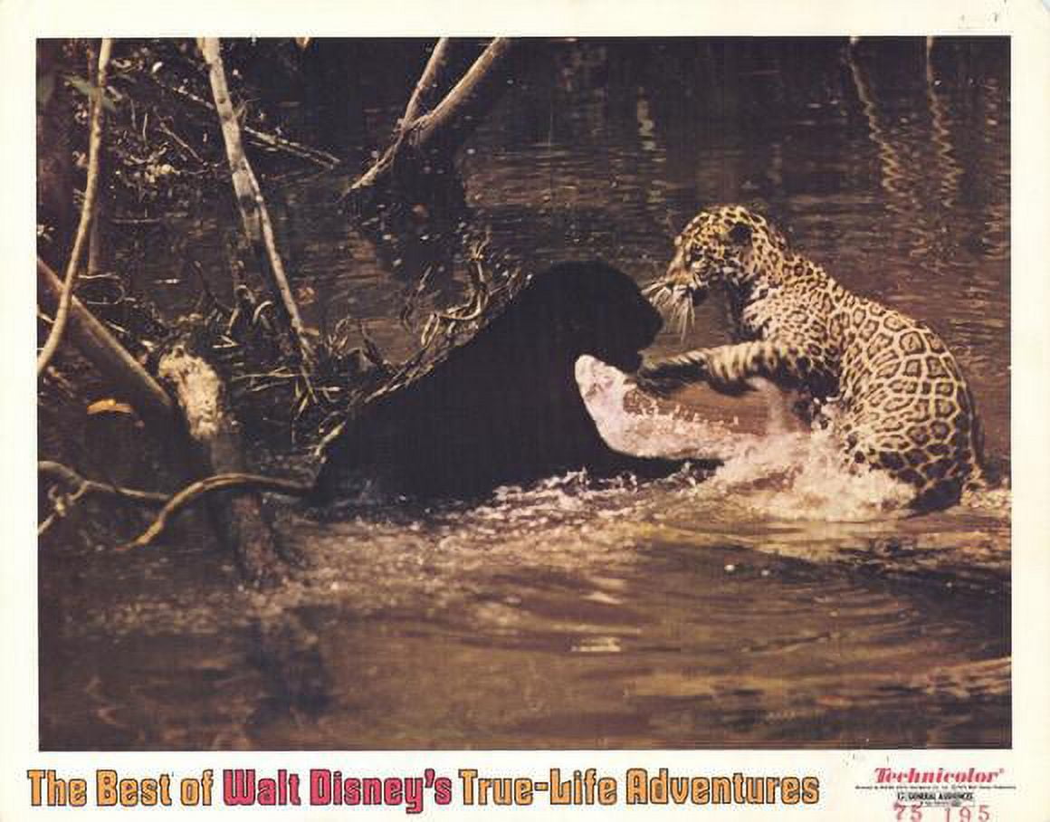 The Best of Walt Disneys True-Life Adventures - movie POSTER (Style F ...