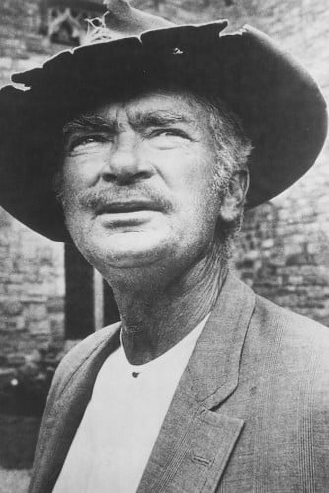 The Beverly Hillbillies Buddy Ebsen As Jed Clampett 24x36 Poster ...