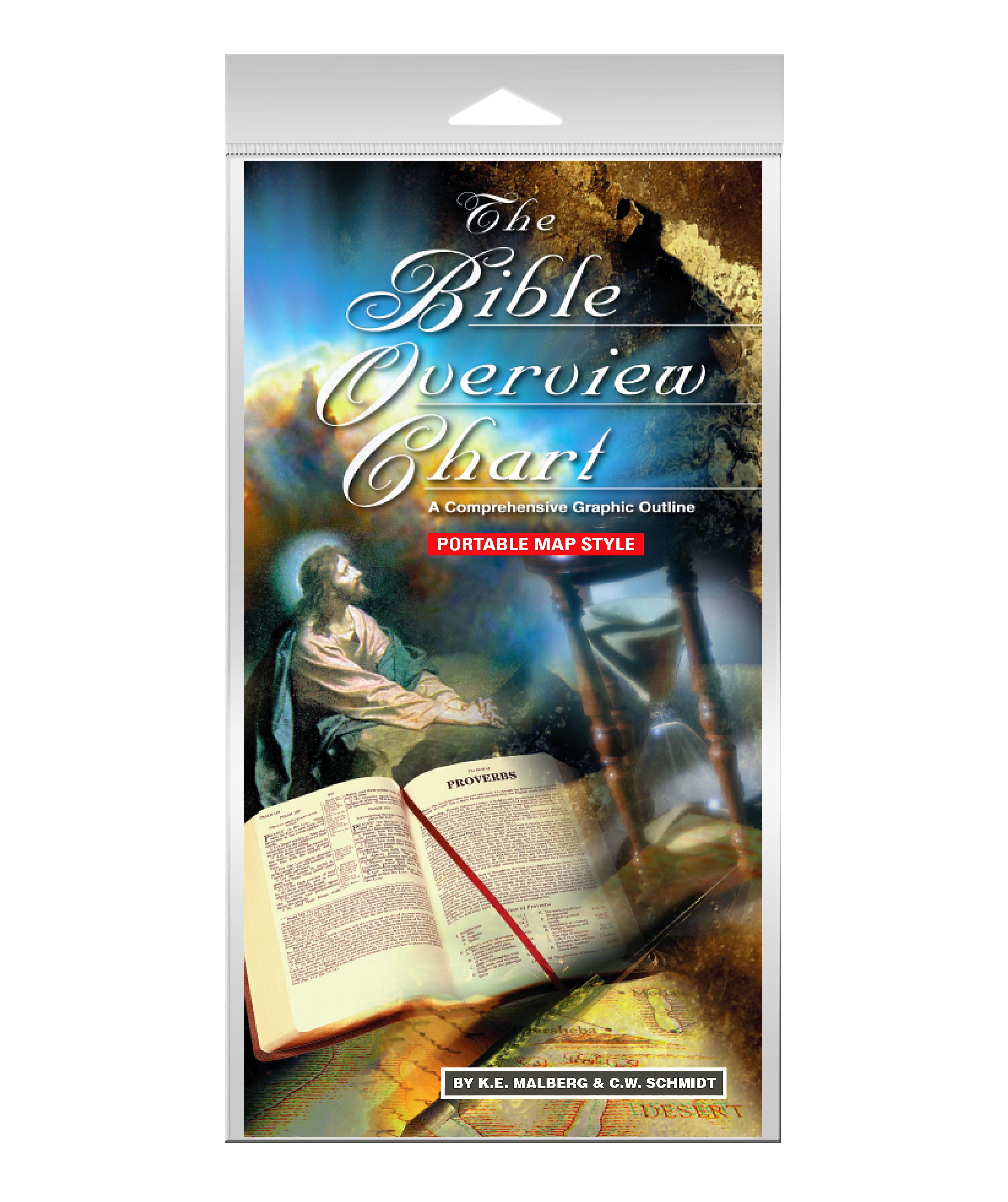 The Bible Overview Chart - Walmart.com