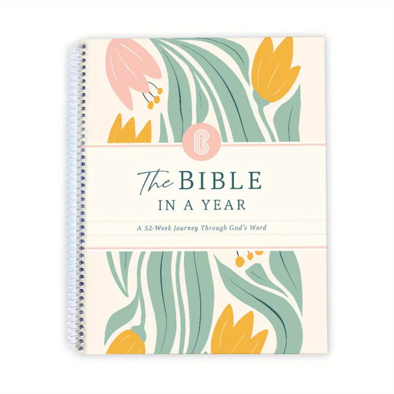 The Bible in a Year A 52-Week Study for Women, Bible Study Guide, 52 ...