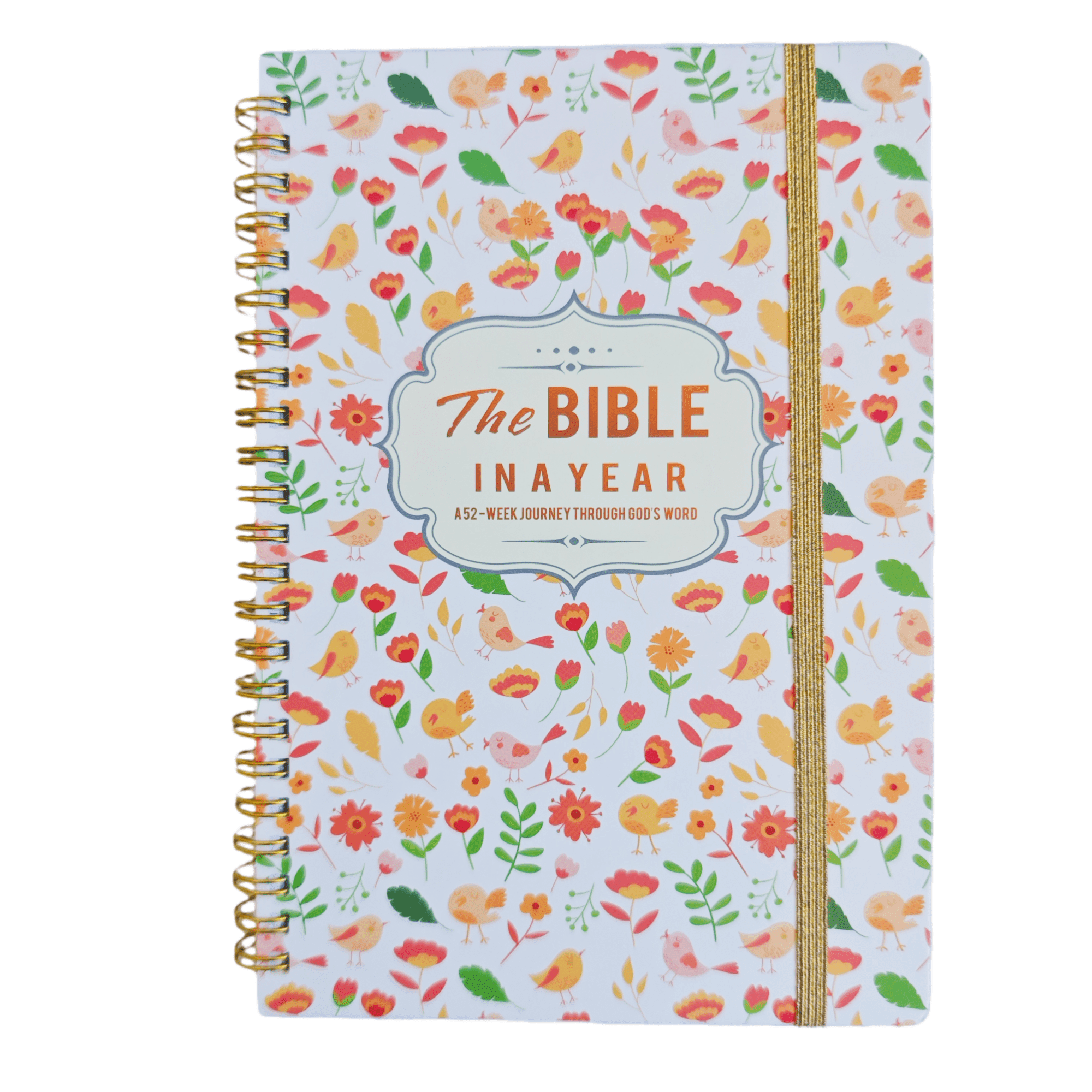 The Bible in a Year Spiral Notebook – 52-Week Guided Scripture Journey ...