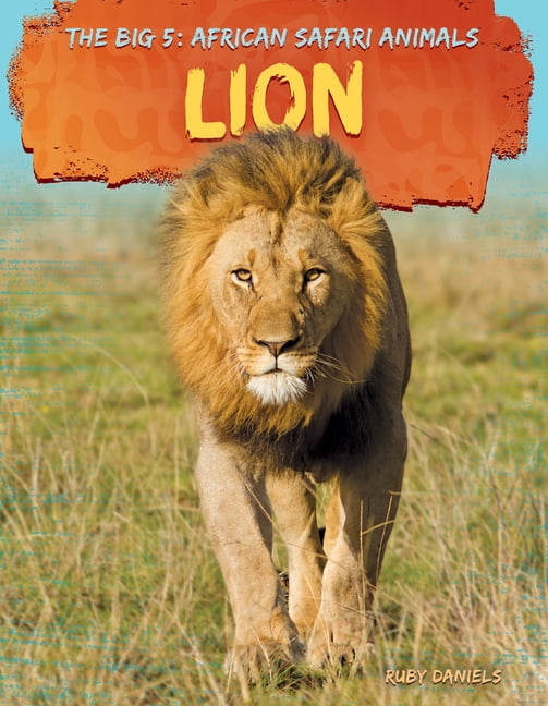 The Big 5: African Safari Animals Lion, (Hardcover) - Walmart.com