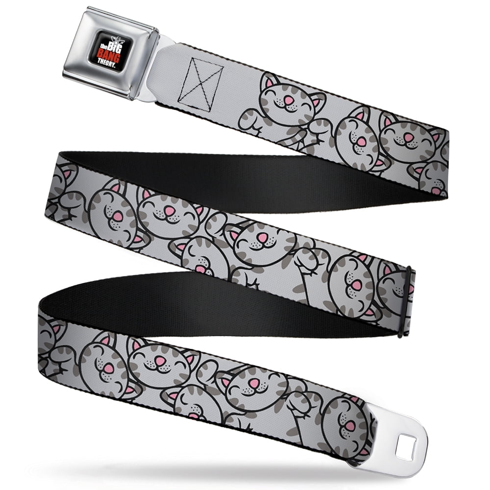 The Big Bang Theory Belt, Seatbelt Buckle Belt, Soft Kitty Poses, 24 to ...
