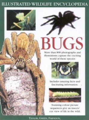 Pre-Owned The Big Bug Book: Discover the Amazing World of Beetles, Bugs, Butterflies, Moths ...