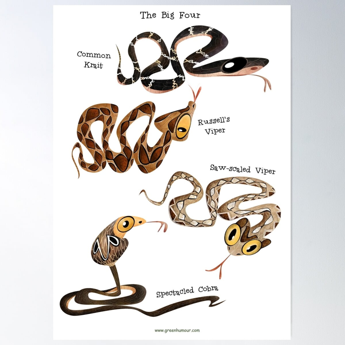 The Big Four Venomous Snakes Of India Poster Wall Art, Modern Wall ...
