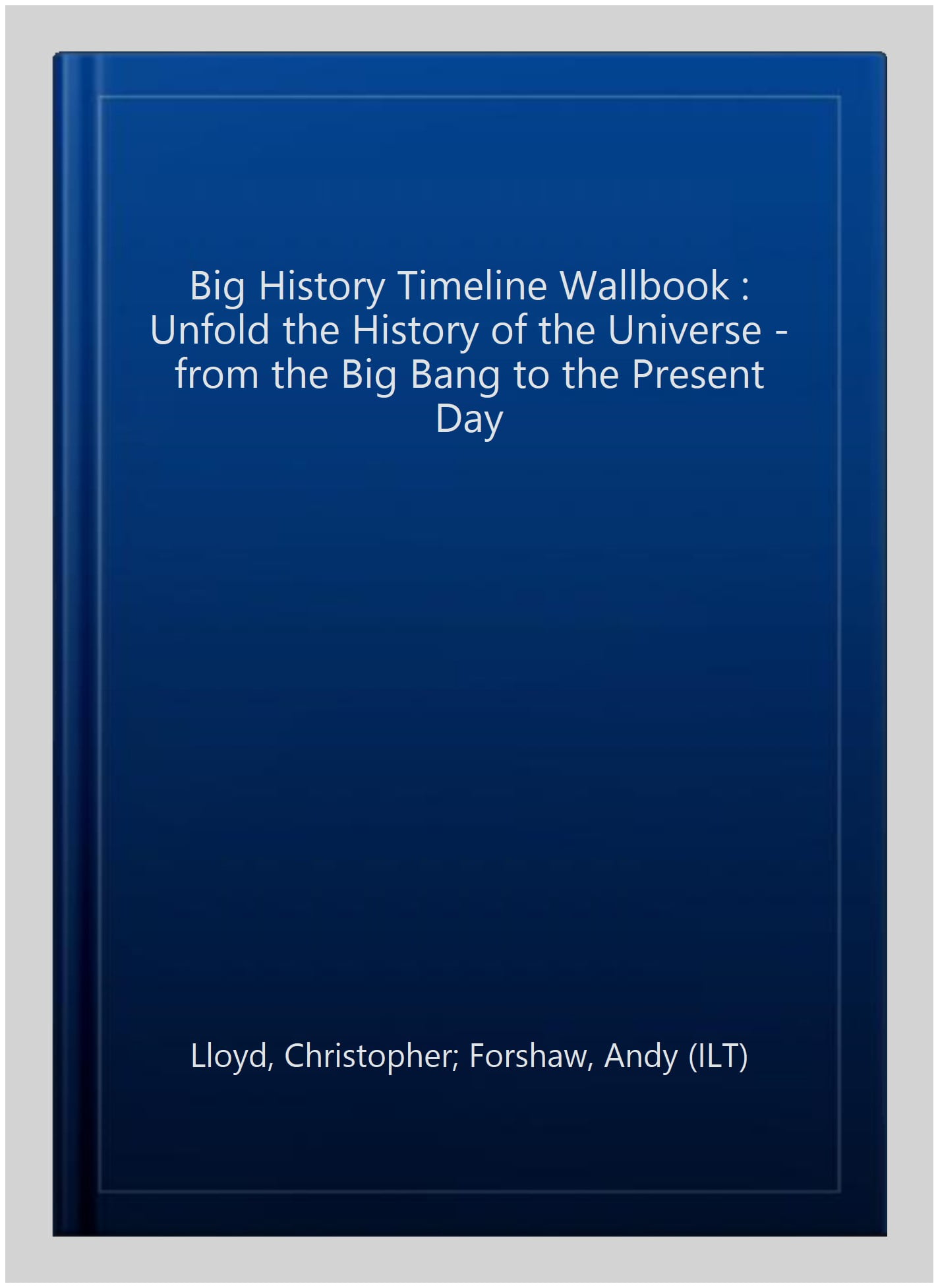 Pre-Owned The Big History Timeline Wallbook - Walmart.com