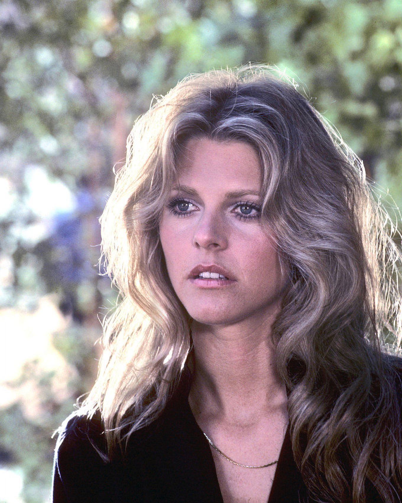 The Bionic Woman Featuring Lindsay Wagner 24X36 Classic Hollywood ...