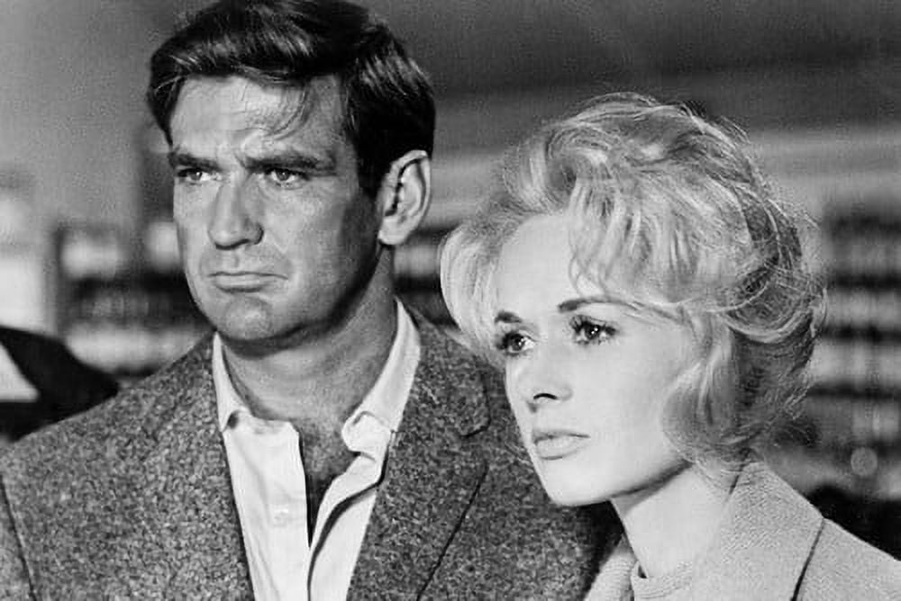 The Birds Rod Taylor/Tippi Hedren 24X36 Poster - Walmart.com
