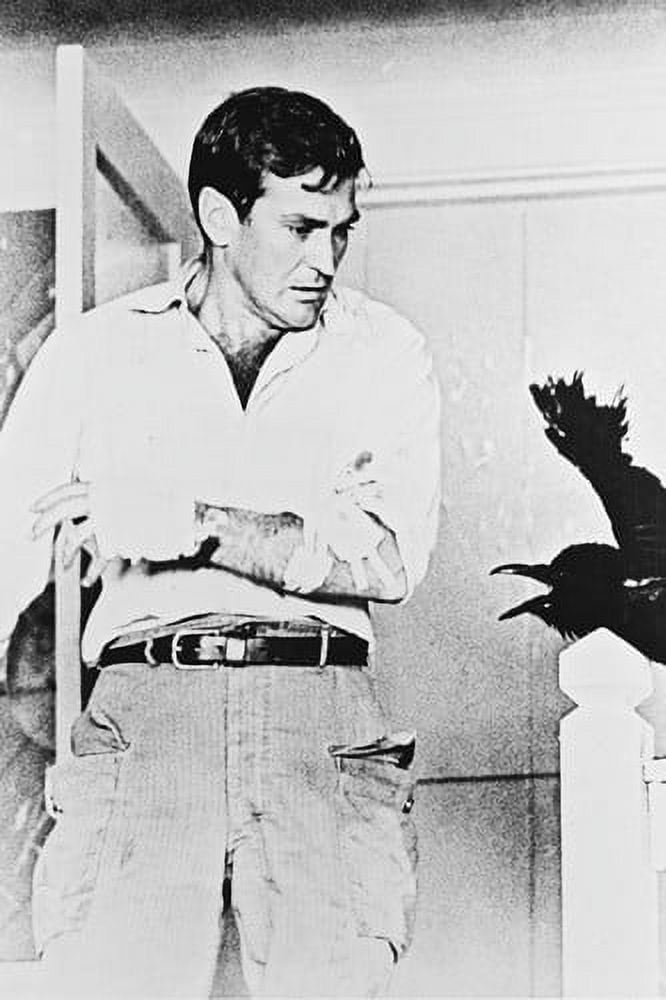 The Birds Rod Taylor fights of black bird 24x36 Poster - Walmart.com