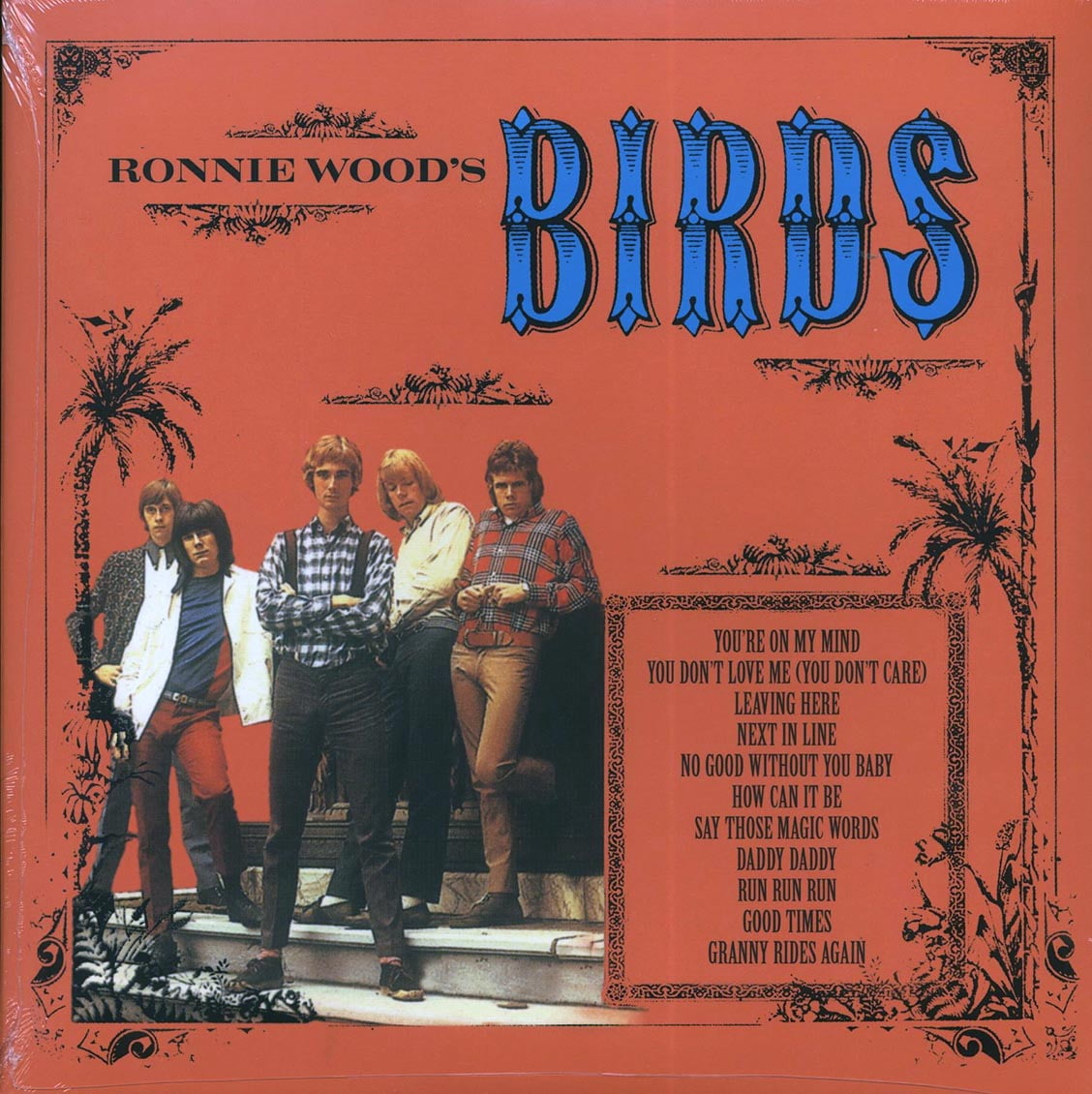 The Birds - The Birds (Ronnie Woods' The Birds) - LP - Walmart.com
