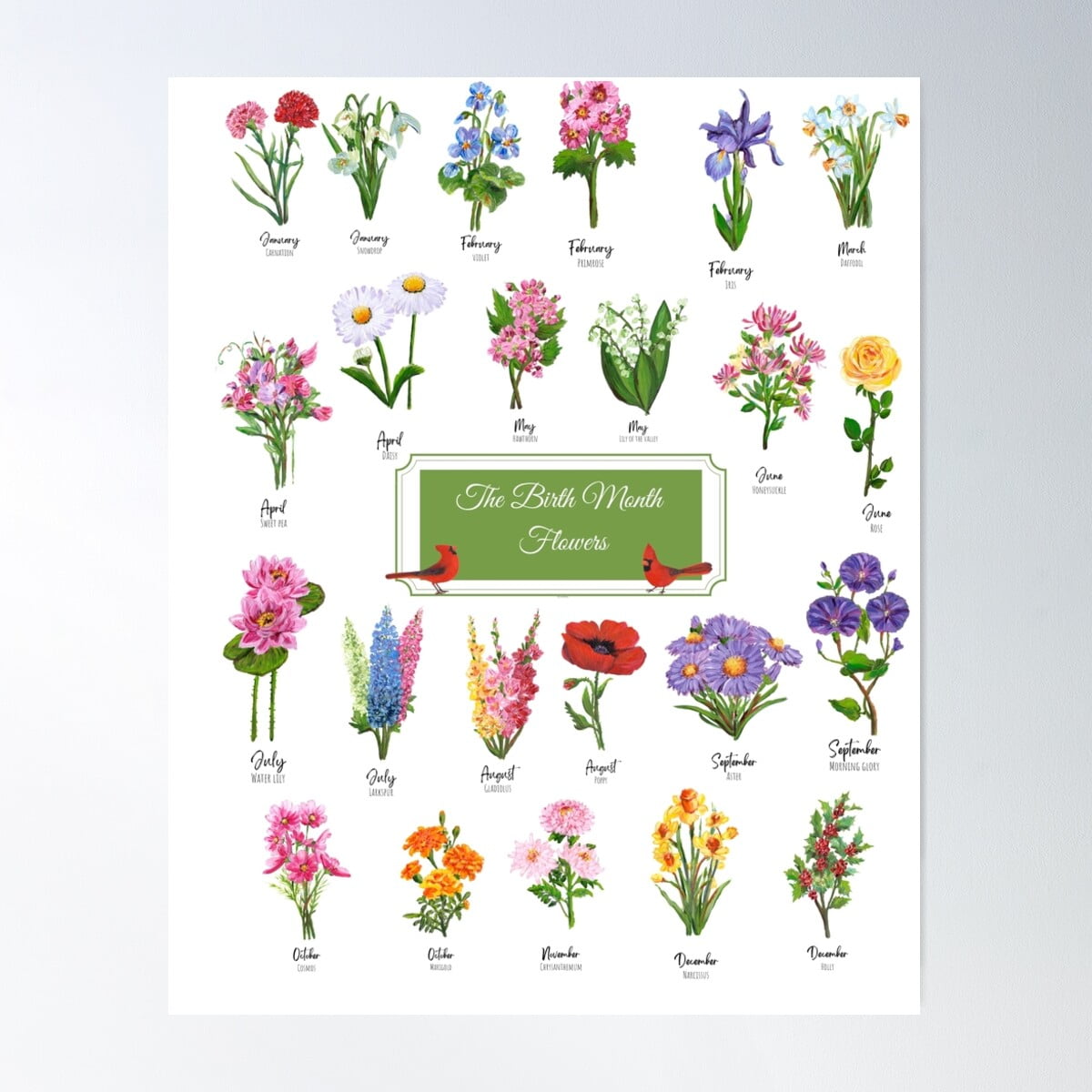 The Birth Month Flowers Poster Wall Art, Modern Wall Decor For Living Room Bedroom, 24x36 ...