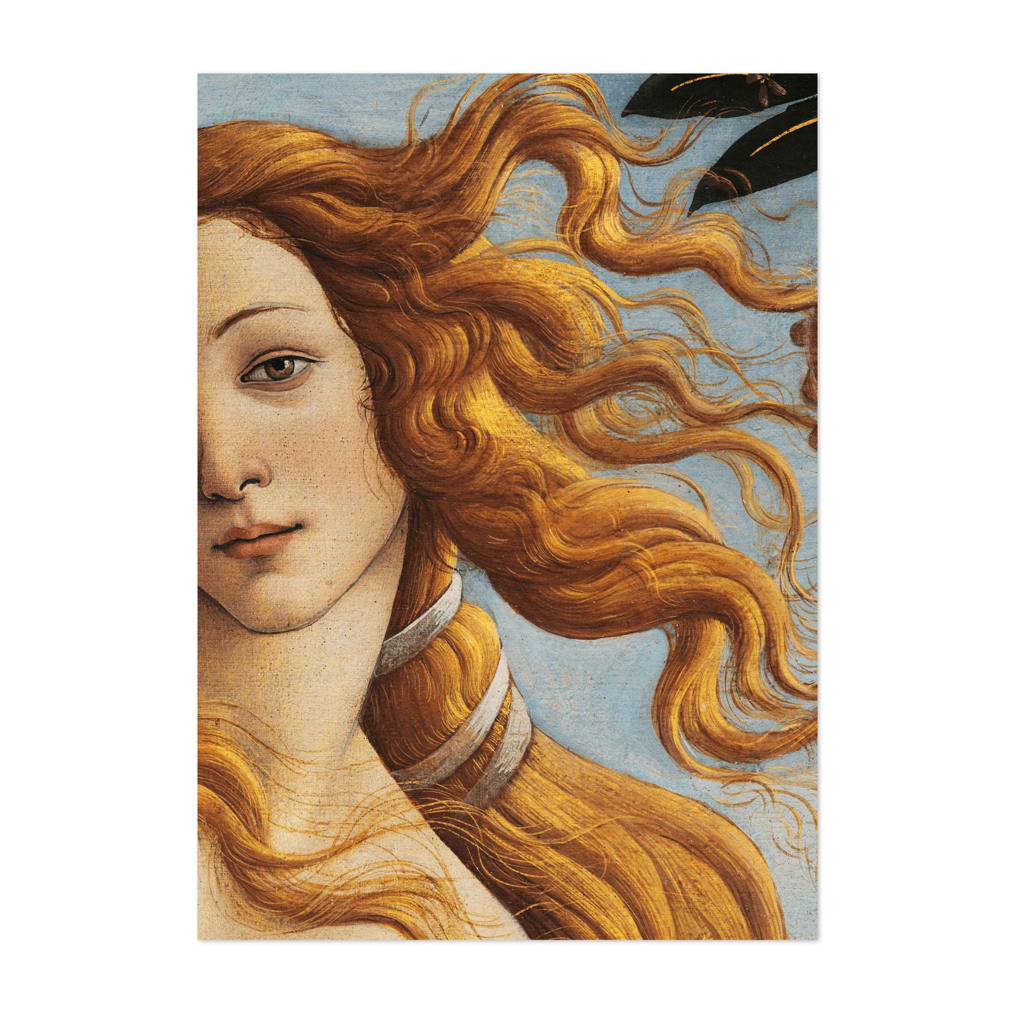The Birth of Venus by Sandro Botticelli - Photography Vintage Modern ...