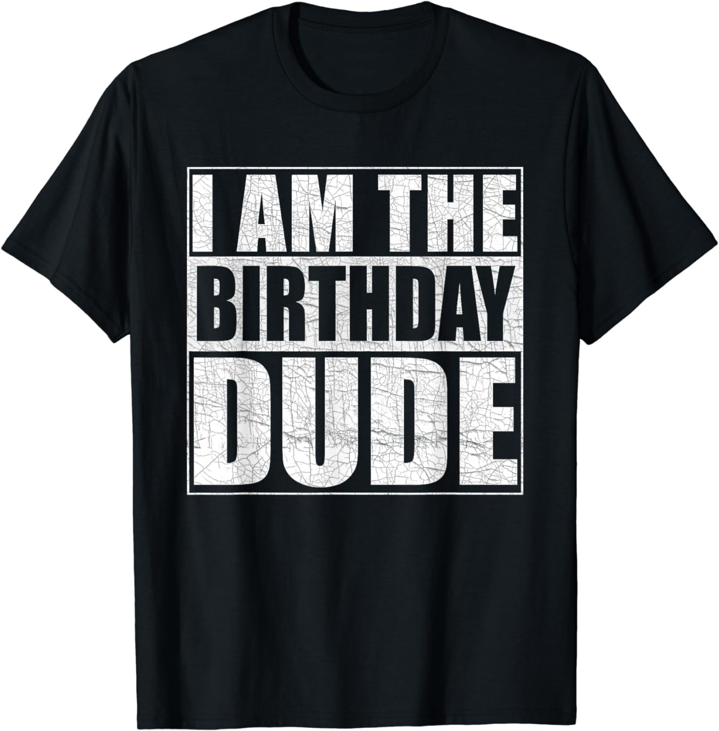 The Birthday Dude | Birthday Party Proud Birthday Dude T-Shirt ...