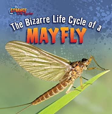 Pre-Owned The Bizarre Life Cycle of a Mayfly (Library Binding ...