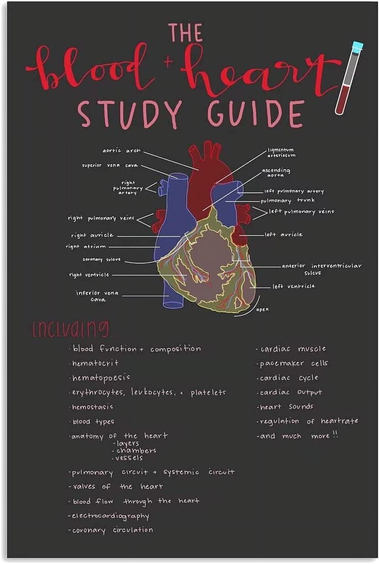 The Blood Heart Study Guide Vintage Metal Sign Medical Knowledge Wall ... The Blood Heart Study Guide Vintage Metal Sign Medical Knowledge Wall ...