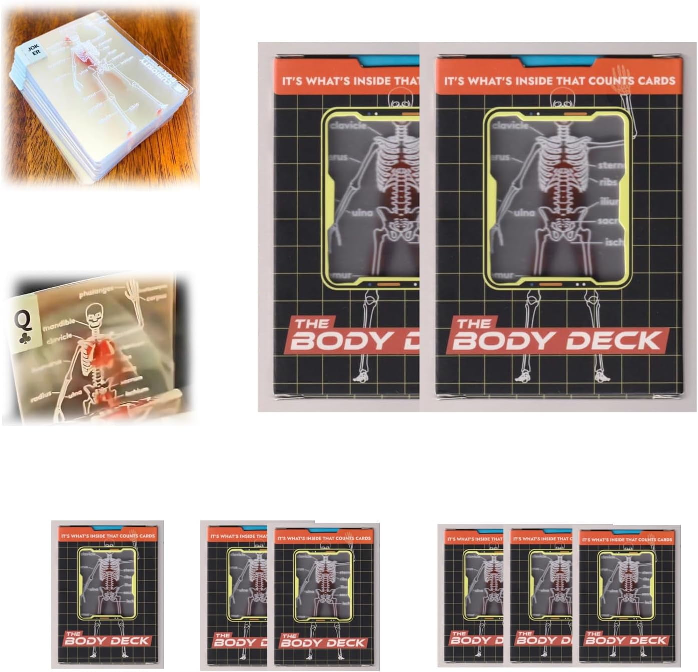 The Body Deck, The Body Deck Playing Cards, Human Anatomy Playing Cards ...