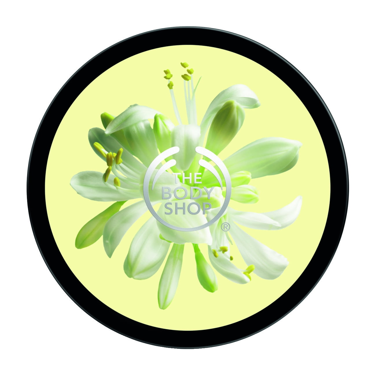 The Body Shop Moringa Body Butter, 6.75 Oz - Walmart.com