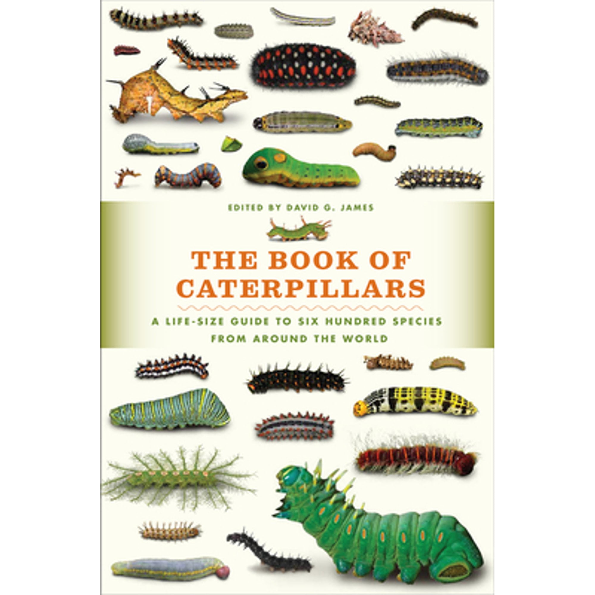 Pre-Owned The Book of Caterpillars: A Life-Size Guide to Six Hundred ...