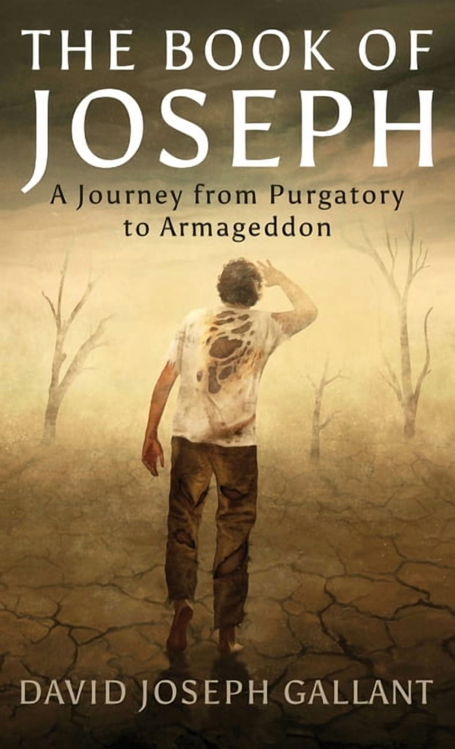 The Book of Joseph: A Journey from Purgatory to Armageddon, (Hardcover ...