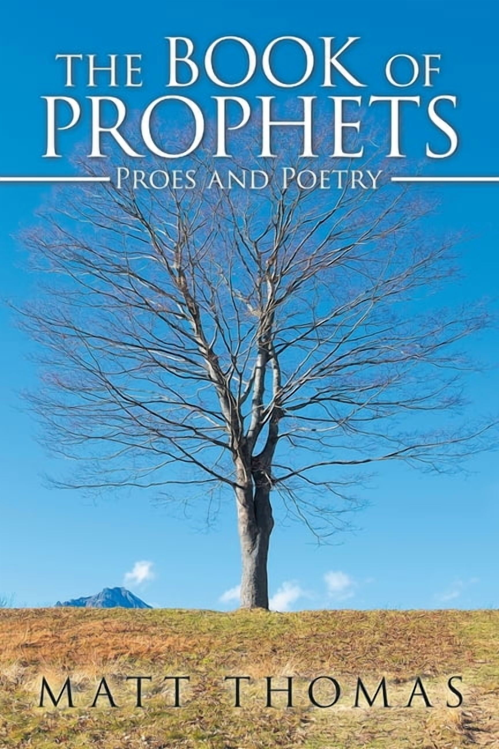 The Book of Prophets: Proes and Poetry, (Paperback) - Walmart.com