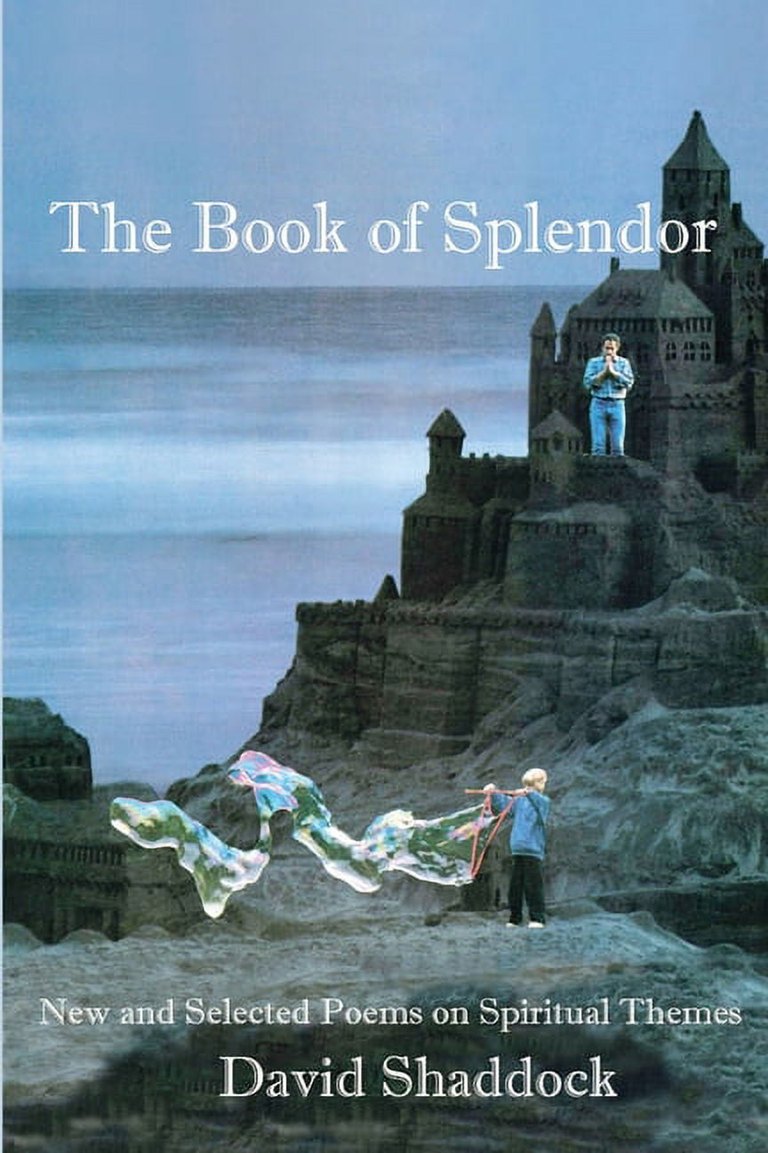 The Book of Splendor (Paperback) - Walmart.com