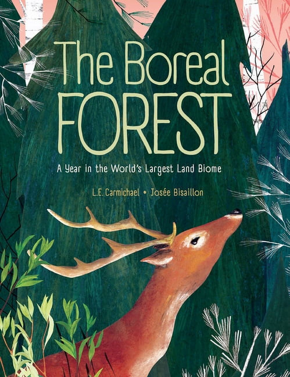 Boreal Forest Biome