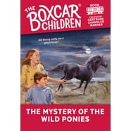 Boxcar Children Mysteries Series: Books #1-12 with Activity Poster and ...