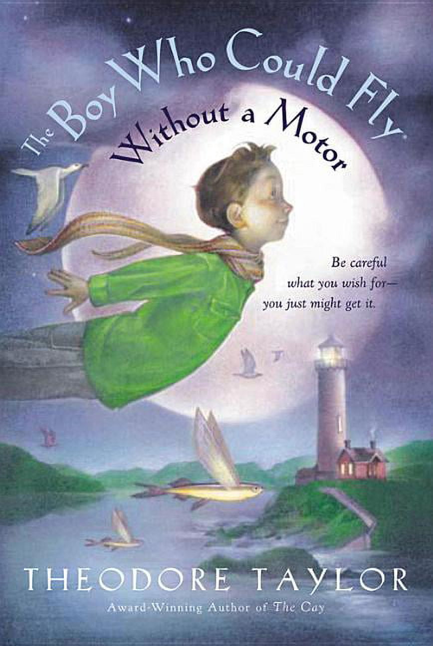 The Boy Who Could Fly Without a Motor, (Paperback) - Walmart.com