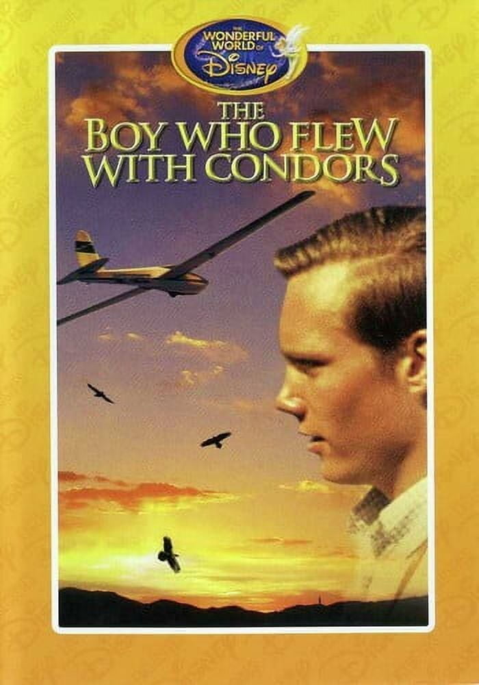 The Boy Who Flew With Condors (DVD), Disney, Drama - Walmart.com