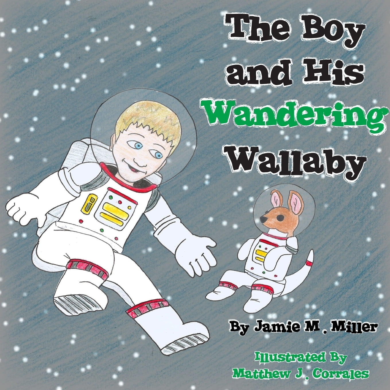 The Boy and His Wandering Wallaby (Paperback) - Walmart.com