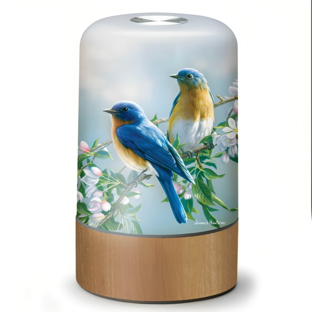 The Bradford Exchange Joyful Bluebird Garden Visitors Lamp Collection ...