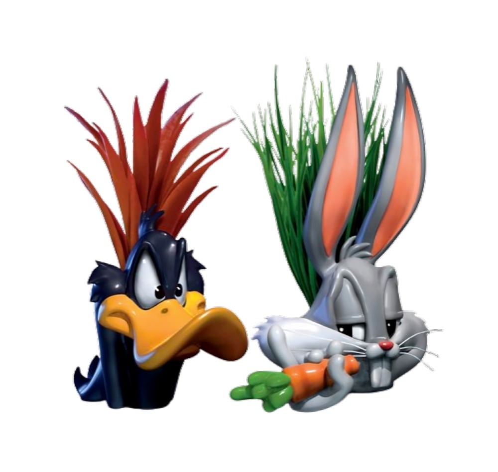 The Bradford Exchange Looney Tunes Succulent Collection: Issue #1 Daffy ...