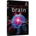 The Brain (DVD) - Walmart.com
