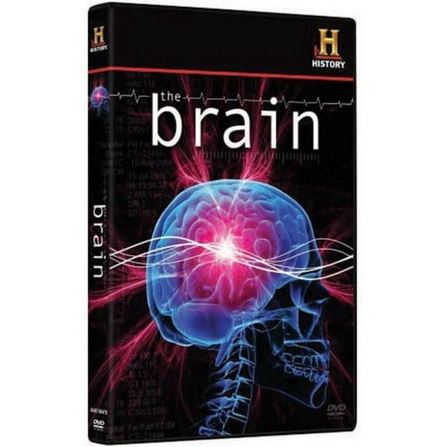 The Brain (DVD) - Walmart.com