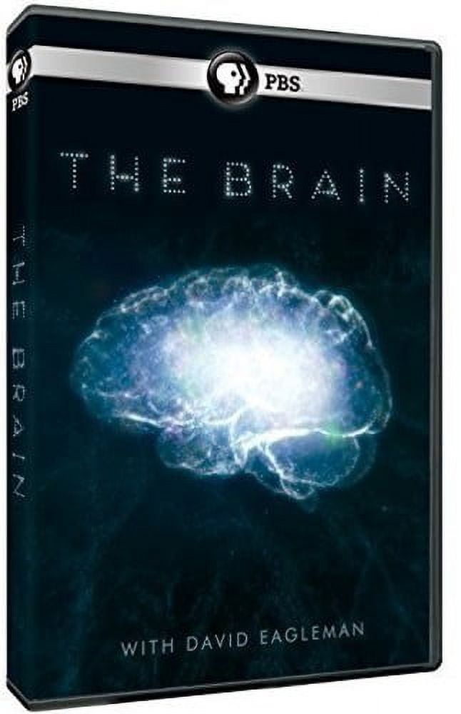 The Brain With David Eagleman (DVD), PBS (Direct), Documentary ...