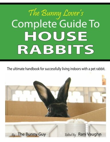 Rabbit House Pet