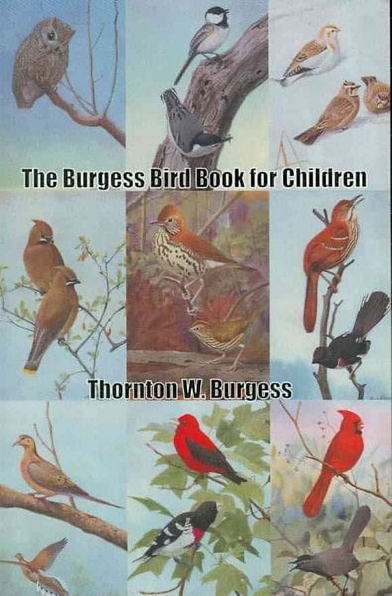 Burgess Bird Book for Children - Walmart.com