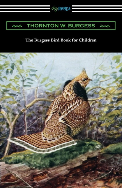 The Burgess Bird Book for Children (Paperback) - Walmart.com