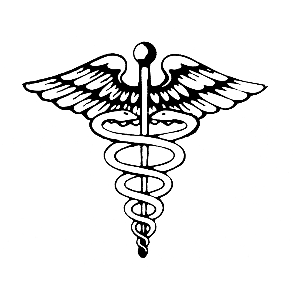 The Caduceus. Nan Insignia Modeled On Hermes' Staff And Used As The ...