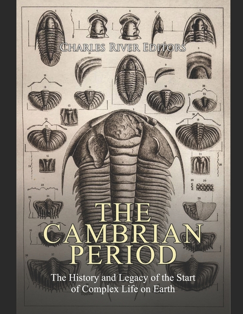 The Cambrian Period: The History and Legacy of the Start of Complex ...