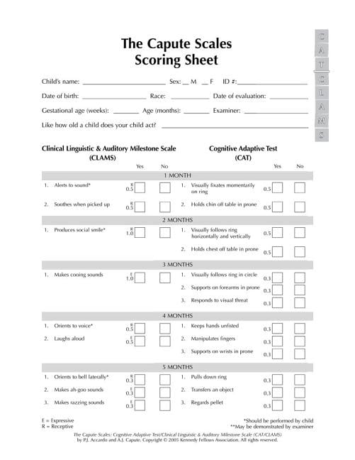 The Capute Scales Scoring Sheets (Paperback) - Walmart.com