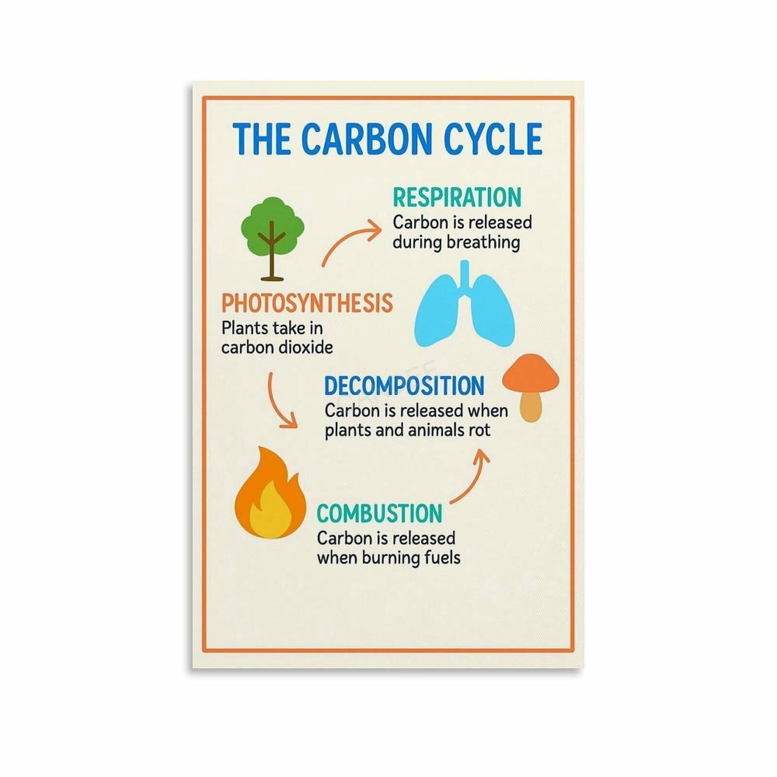 The Carbon Cycle Poster Eco Friendly Educational (9) Canvas Painting ...