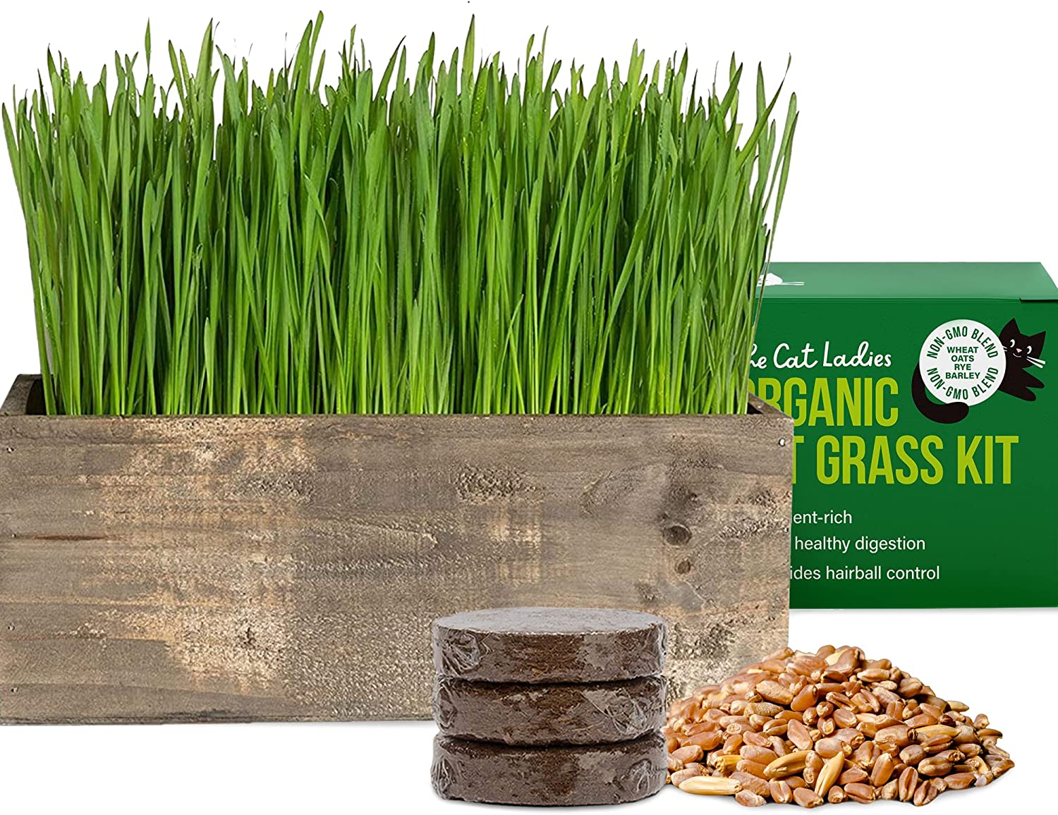 Catit Design Senses Grass Garden Kit - Walmart.com