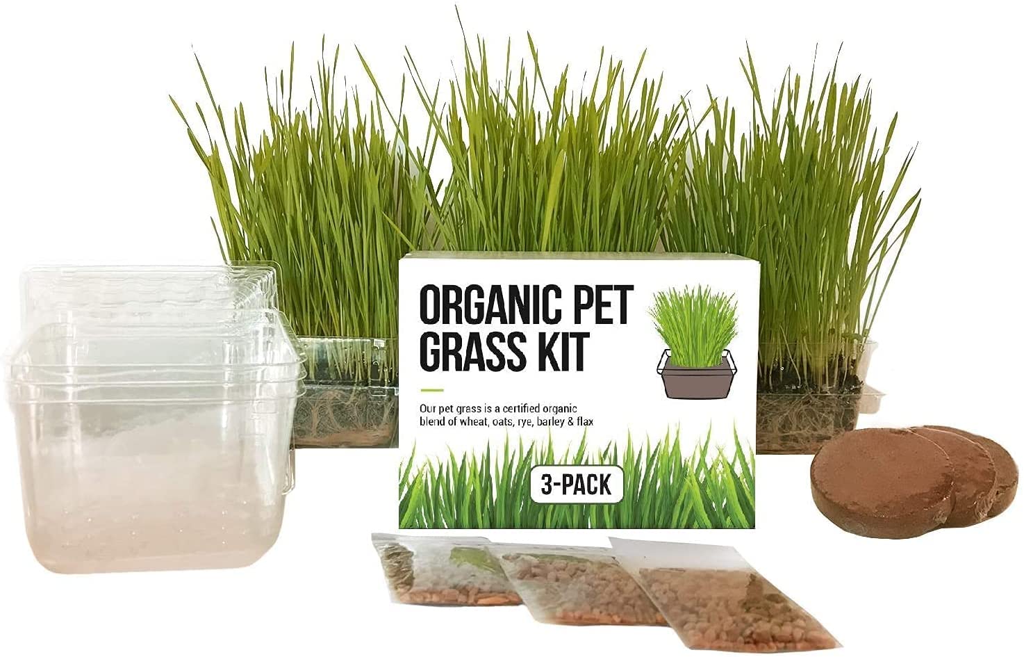 Cat A'Bout Freshly Grown Cat Grass Plus, Natural Digestive Aid ...