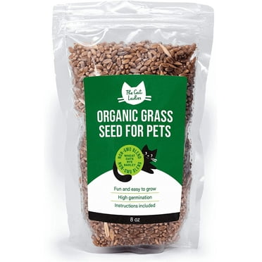 Cat A'Bout Freshly Grown Cat Grass Plus, Natural Digestive Aid ...