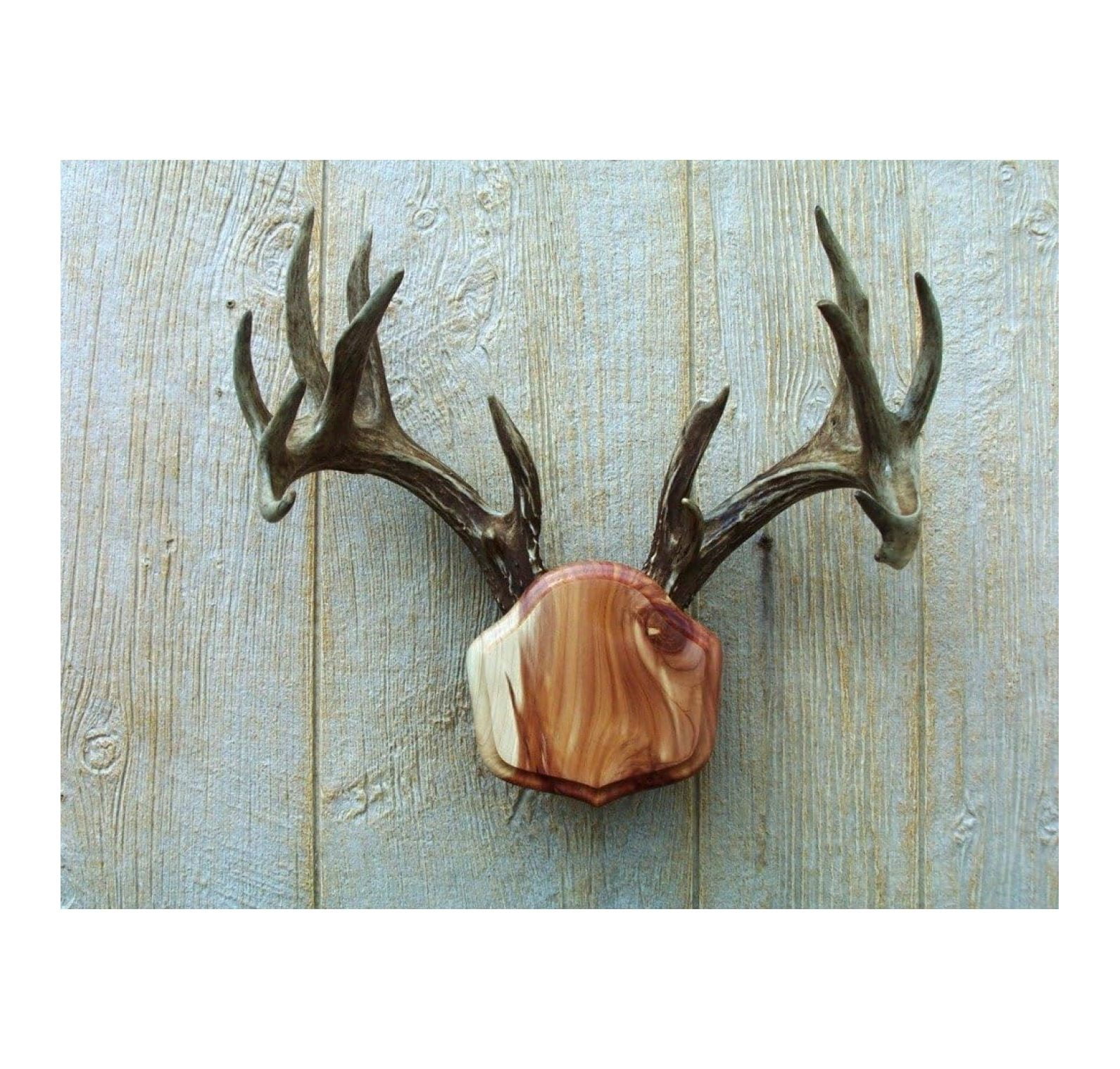 The Cedar The Deer Stand Antler Mounting Kit - Walmart.com