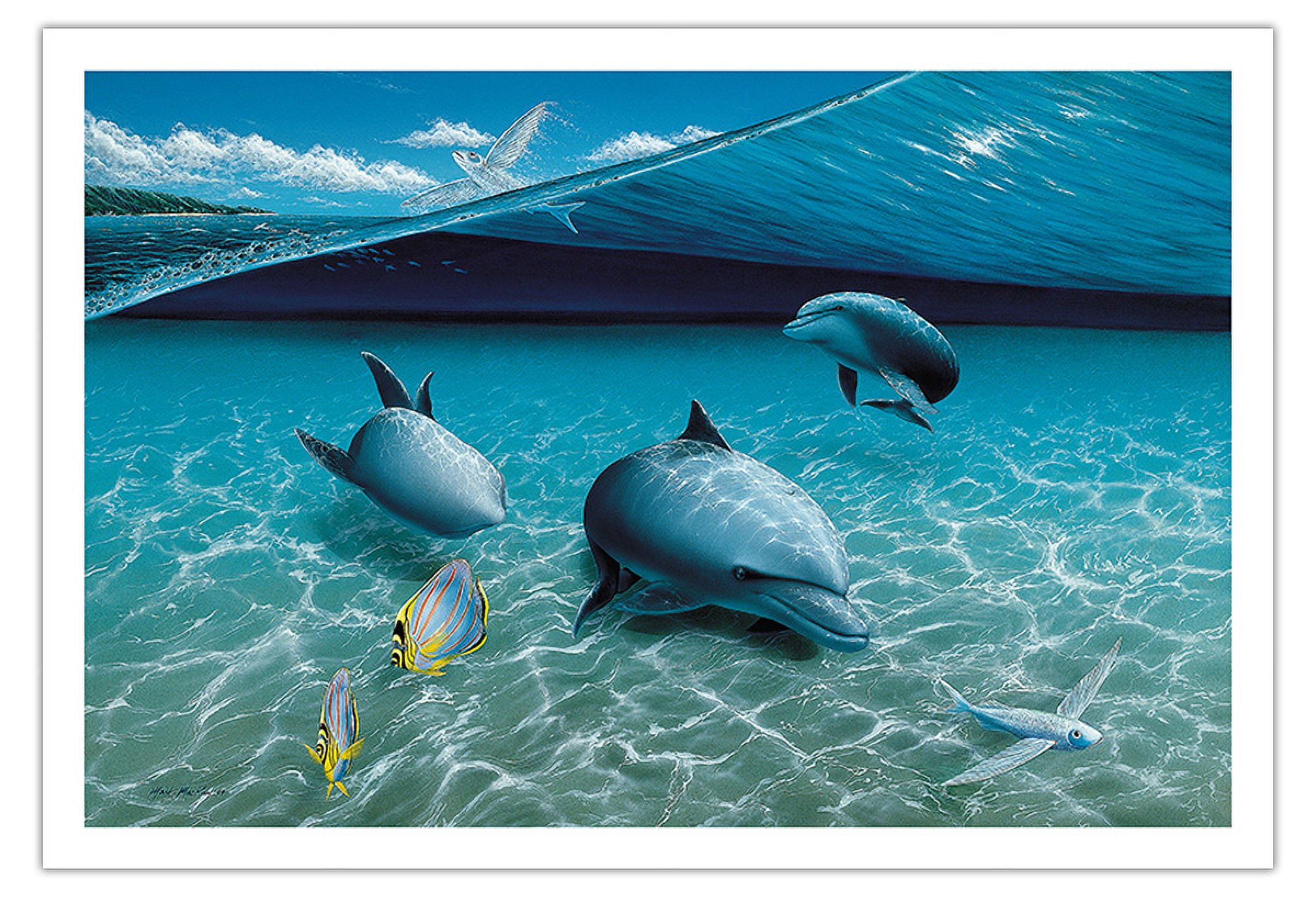 The Chase - Hawaiian Spinner Dolphins (Naiʻa) - From an Original Color ...