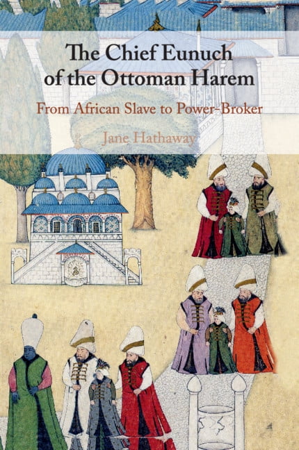The Chief Eunuch of the Ottoman Harem: From African Slave to Power ...