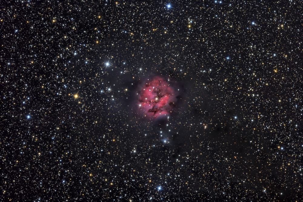 The Cocoon Nebula Poster Print - Walmart.com