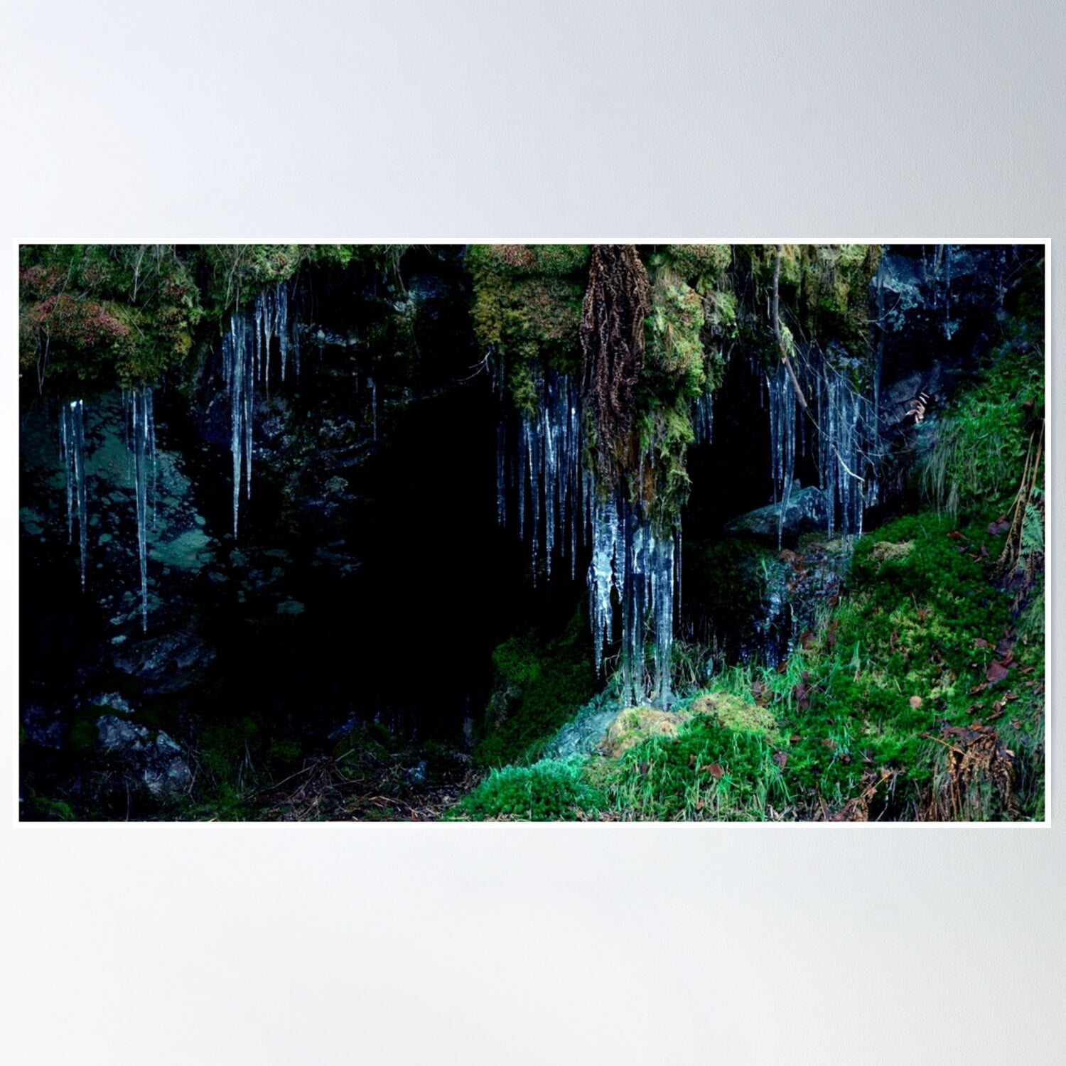 The Cold Rainforest Poster Wall Art, Modern Wall Decor, 12x18 UNFRAMED ...